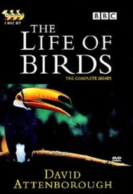 The Life of Birds | Episodes | SideReel