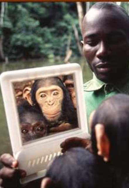 Top search results for "National_Geographic_-_Animals_Like_Us" | SideReel