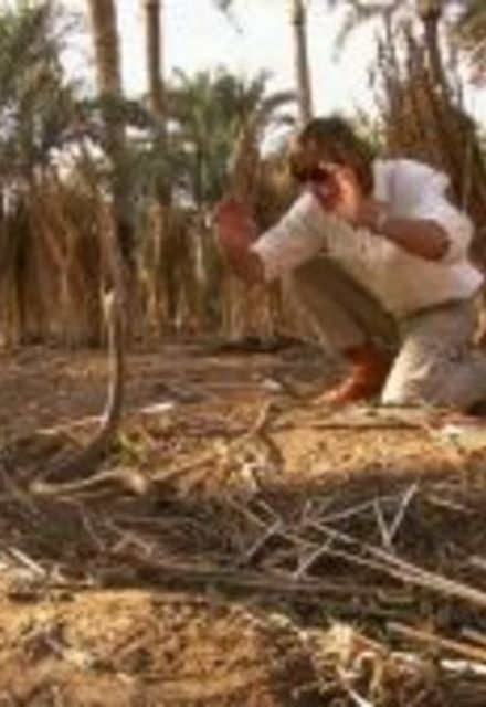 Austin Stevens: Snakemaster | TV Show, Episodes, Reviews and List ...