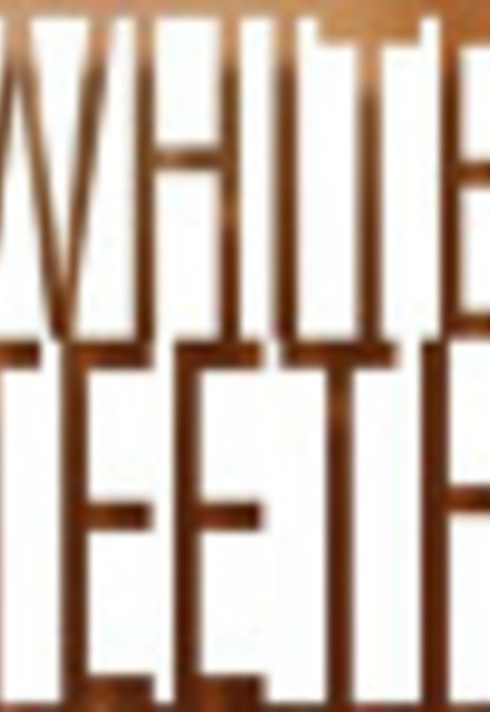 White Teeth | TV Show, Episodes, Reviews and List | SideReel