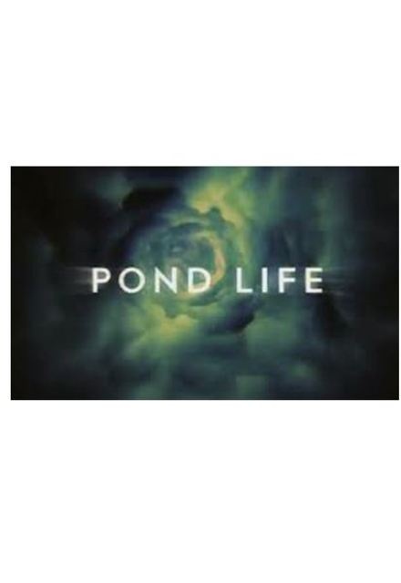 Pond Life on BBC.com | TV Show, Episodes, Reviews and List | SideReel