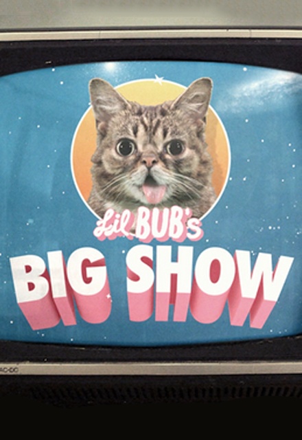 Top search results for "lil_bubs_big_show" | SideReel