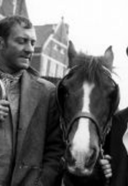 Steptoe And Son Season 1 Episode 1 The Offer Sidereel