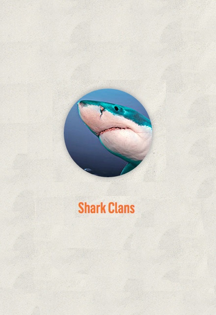 Top search results for "Shark" | SideReel