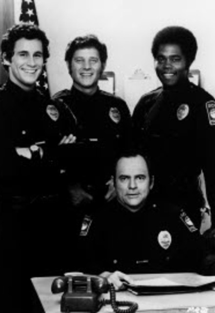 The Rookies | TV Show, Episodes, Reviews and List | SideReel